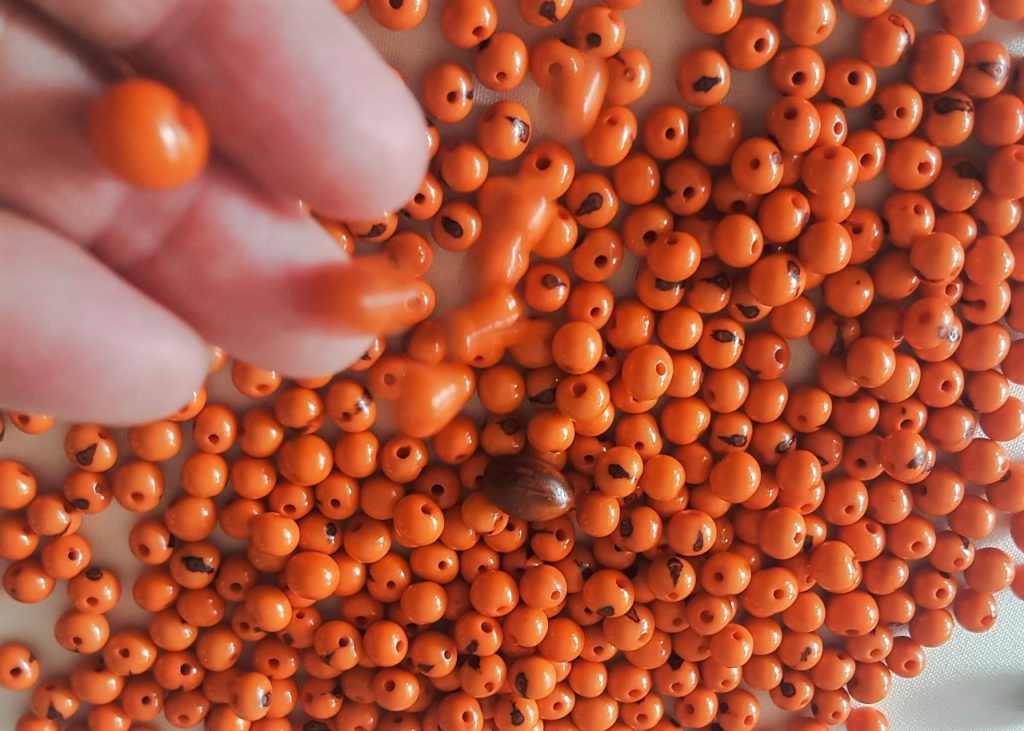 açai orange - Nos graine d'açai sont issues de producteurs familiaux en ...