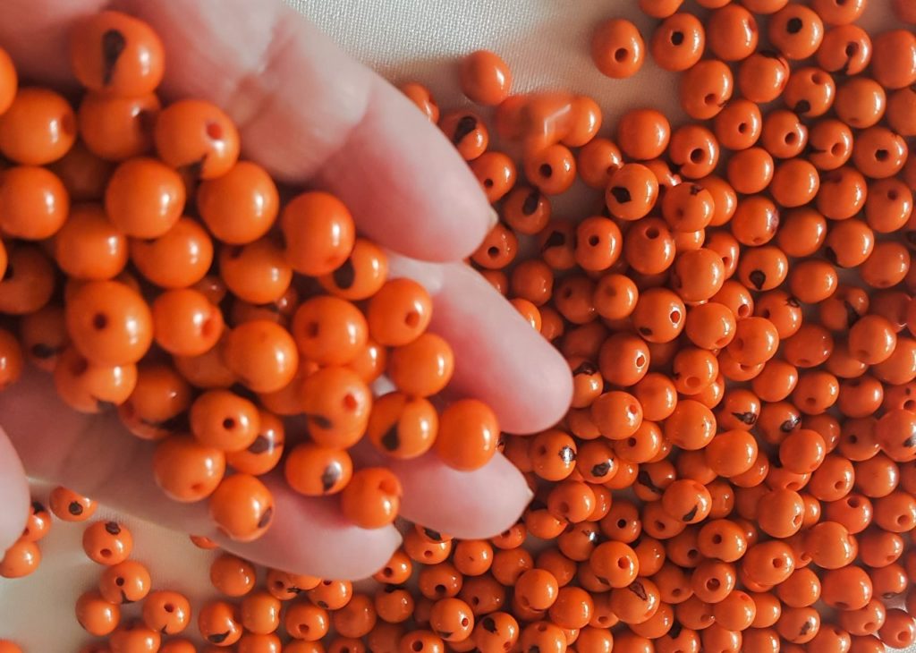 açai orange - Nos graine d'açai sont issues de producteurs familiaux en ...